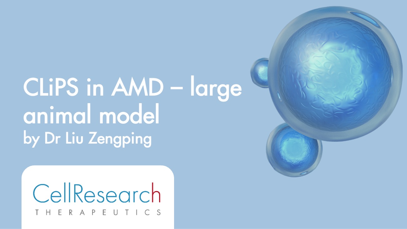 CLiPS in AMD – large animal model by Dr Liu Zengping – CellResearch ...